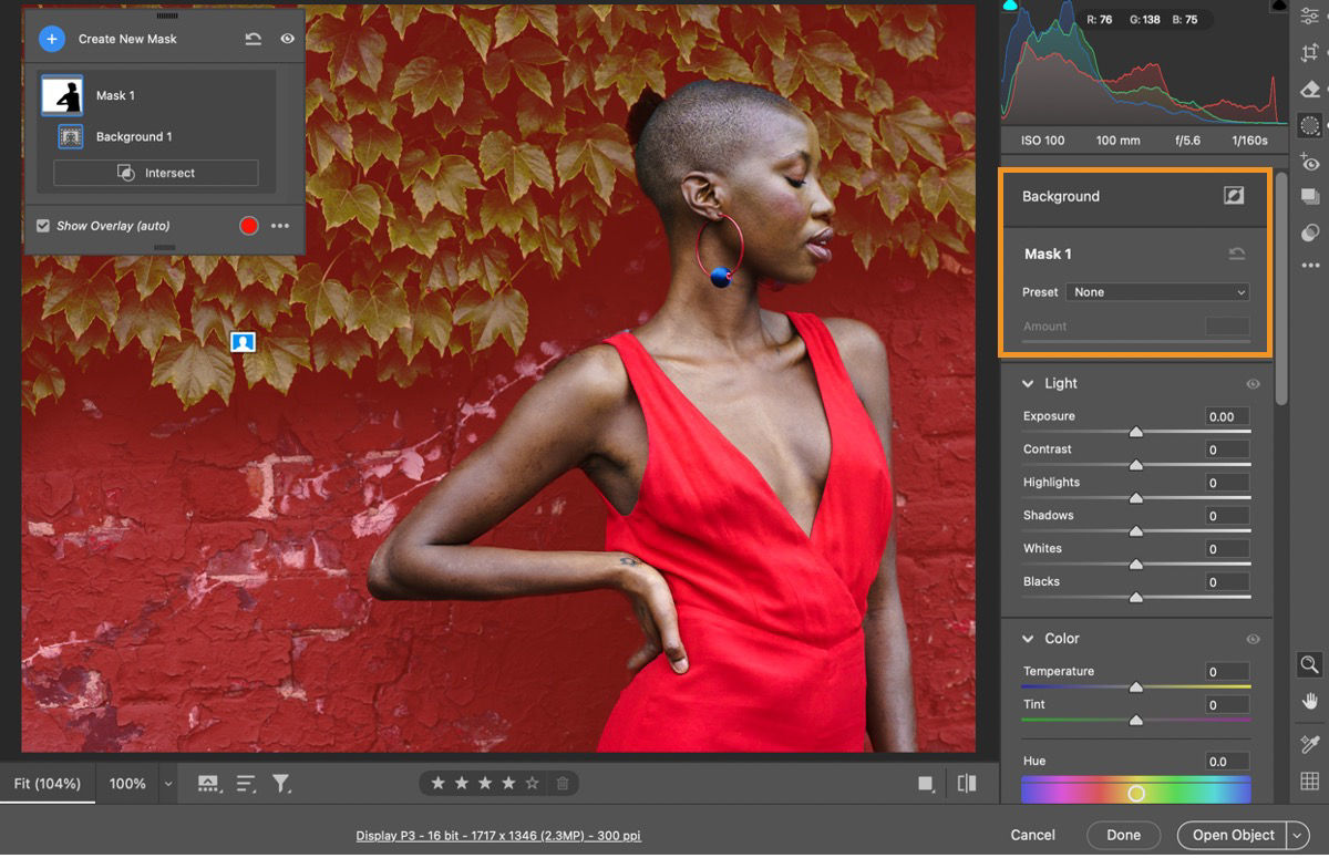 Apply Masking for local adjustments in Camera Raw