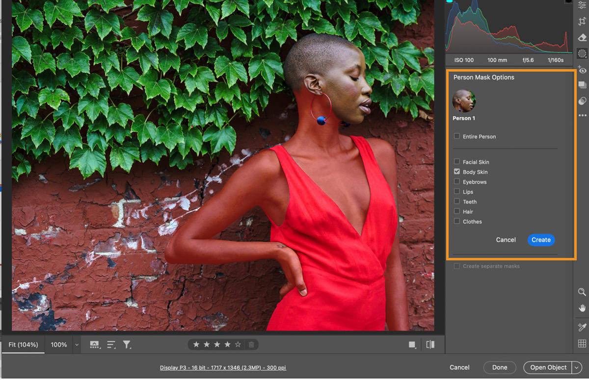 Apply Masking for local adjustments in Camera Raw