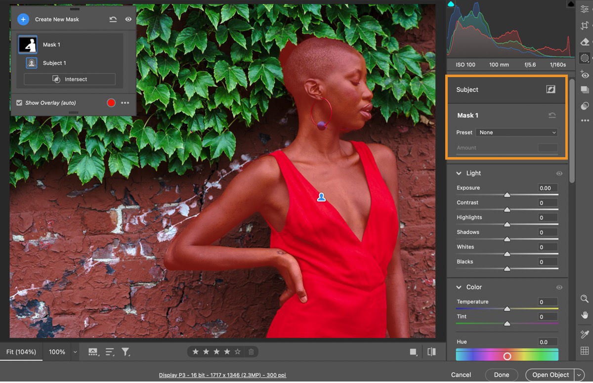 Apply Masking for local adjustments in Camera Raw