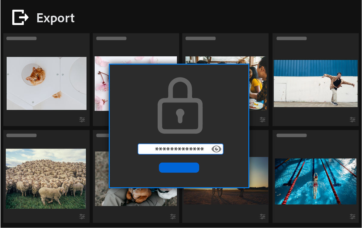 Find out what's new in the latest release of Adobe Camera Raw