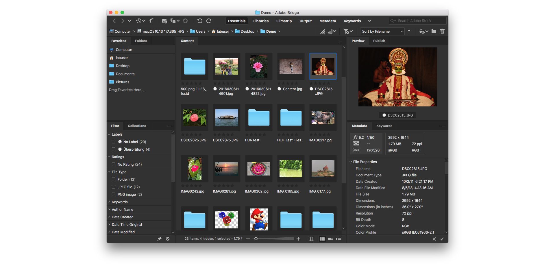 Come utilizzare i pannelli di Adobe Bridge e gestire le aree di lavoro.