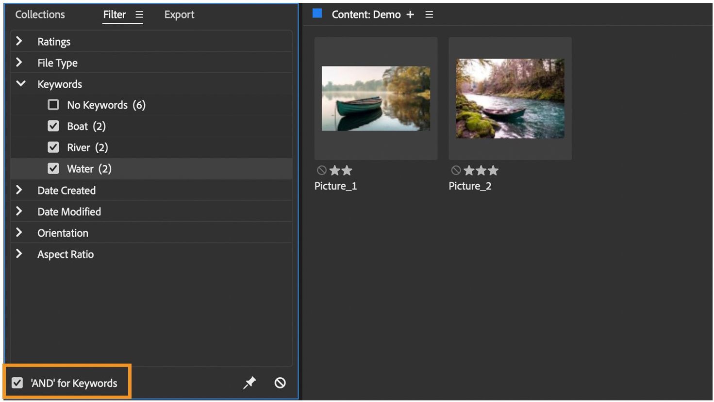 How to view & manage files in Adobe Bridge