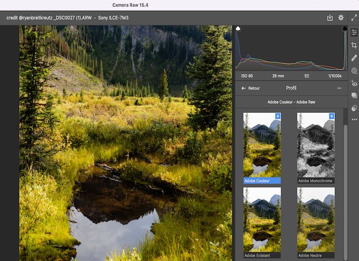 Réglage du rendu des couleurs de votre appareil photo dans Camera Raw